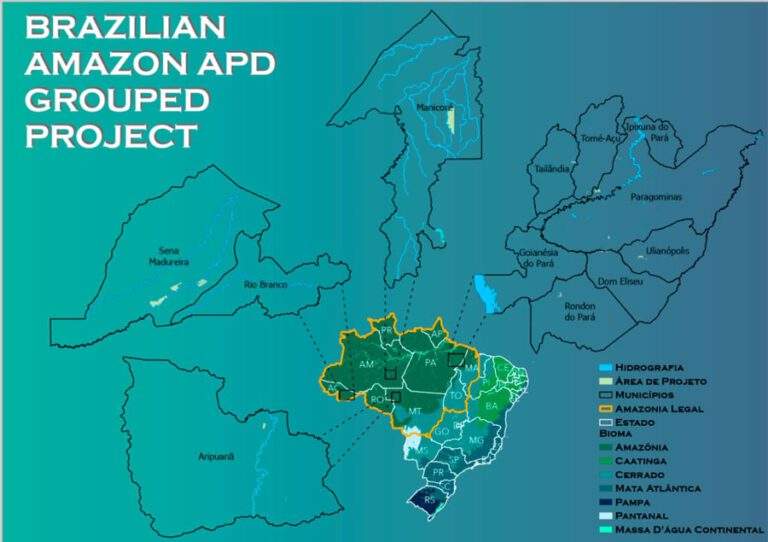 Brazilian Amazon Grouped Project - BRCarbon